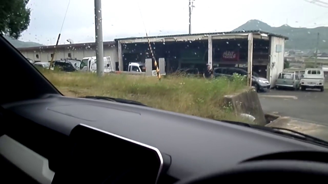 Ignis Overview - YouTube