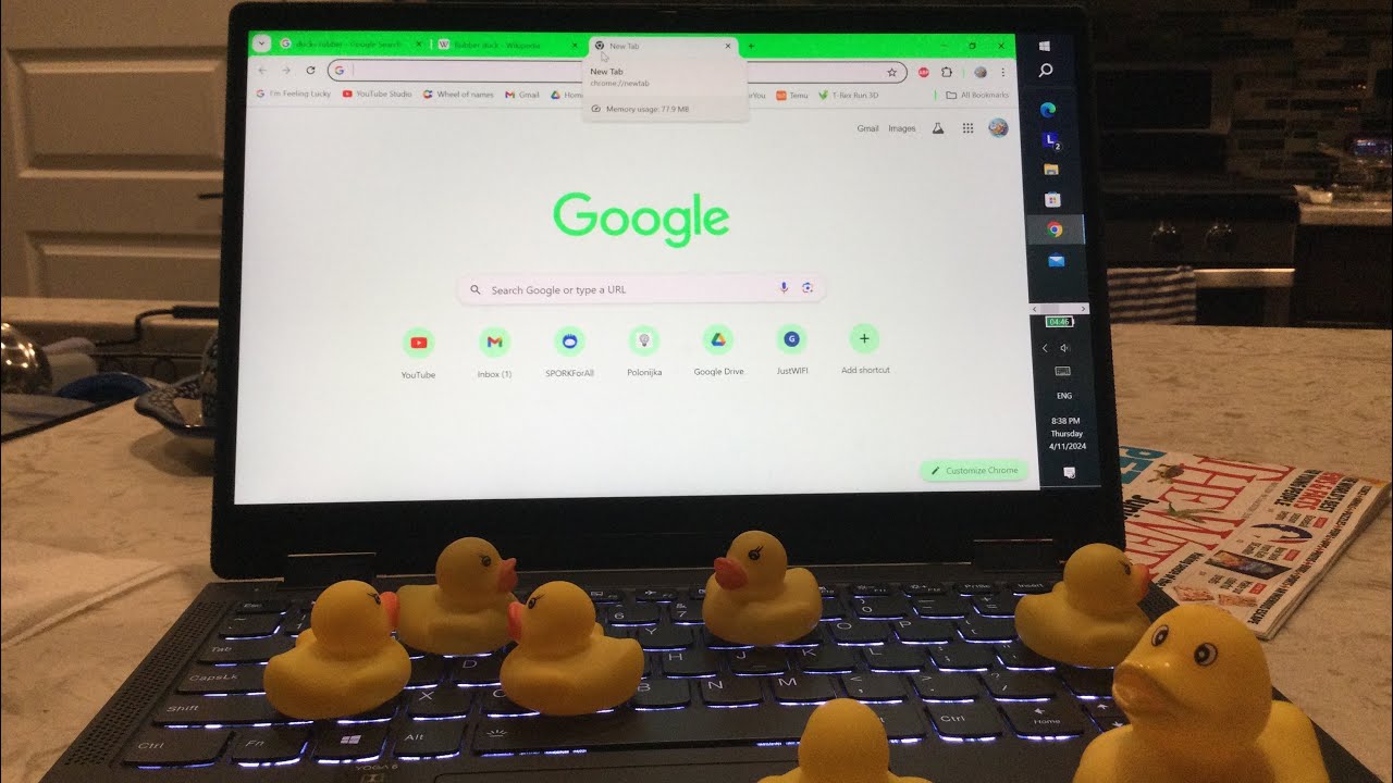 Ducks use a laptop - YouTube