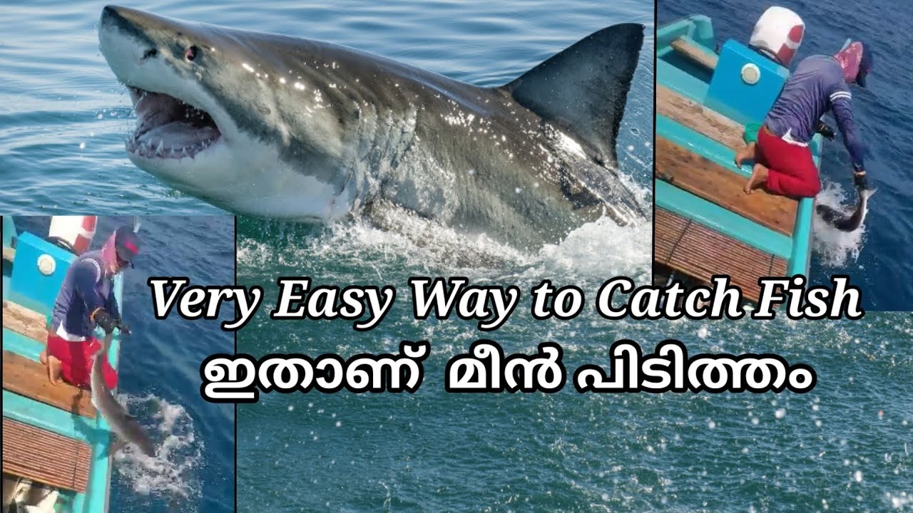 Fishing Ideas/Easy way to catch Fish/ഇങ്ങനെ വേണം മീൻ പിടിക്കാൻ 👌 - YouTube