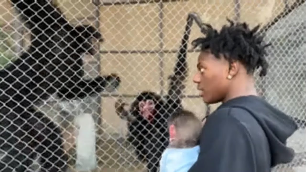 Speed meets Spider Monkey | He Has a BABY MONKEY! - YouTube