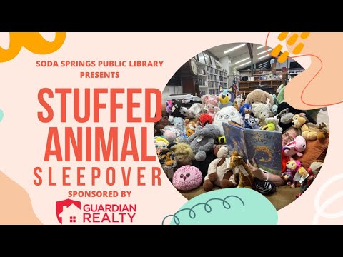 Stuffed Animal Sleepover | Soda Springs Public Library 2023 - YouTube