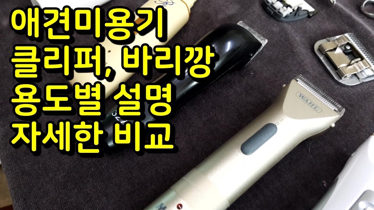 애견관리 강아지 미용기클리퍼 바리깡 용도별 자세한 설명 무게 소음 비교 애견미용기 애견이발기 댕쓰 Youtube