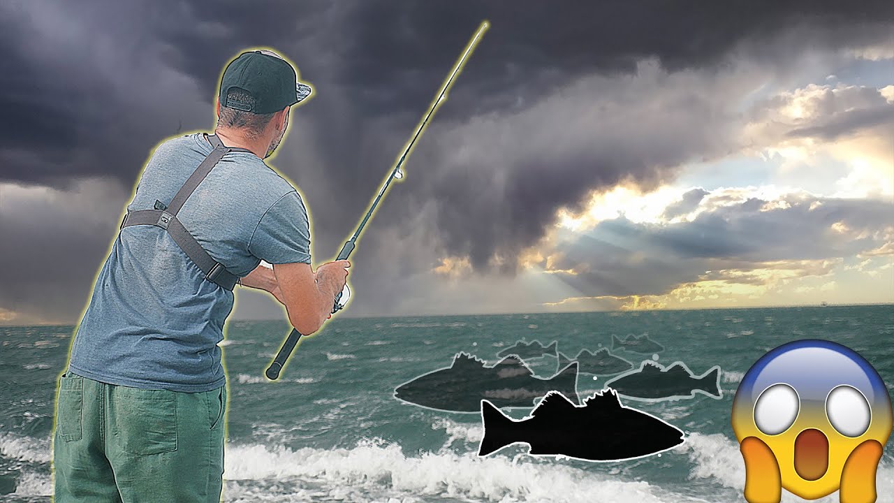 Ces milliers de poissons en frénésie attaquent tout ce qui bouge ! 🎣 ...