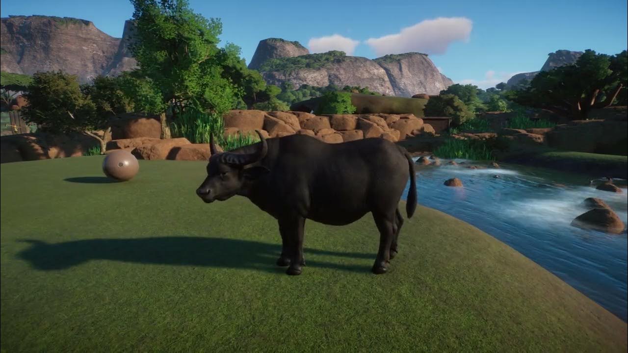 African Buffalo | Planet Zoo Animals - YouTube