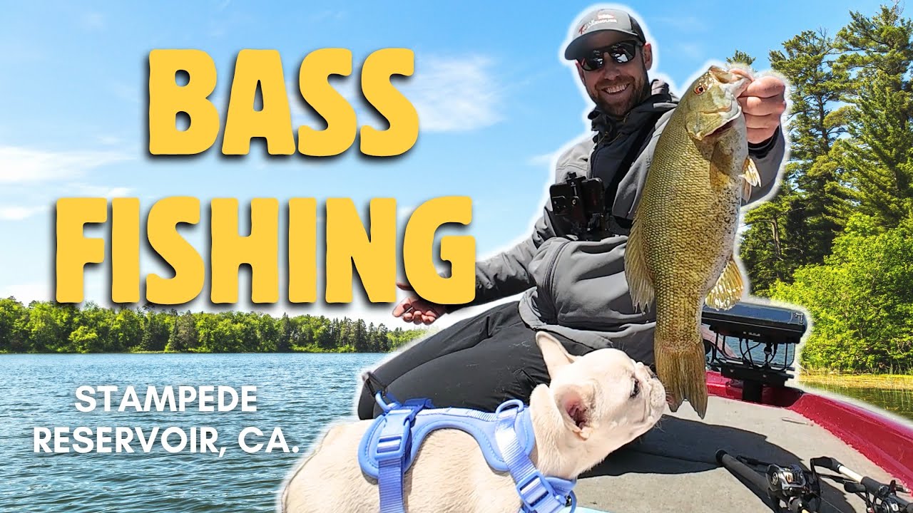 🎣 🐟 Spring Time Bass Fishing 🐟🎣 Catching smallmouth bass at nearby ...