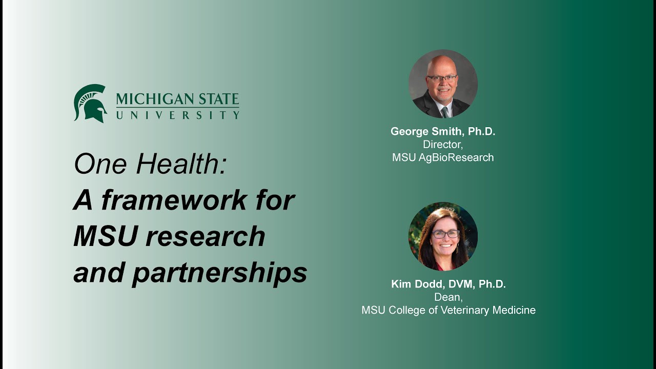 MSU AgBioResearch Podcast - One Team, One Health with the College of ...