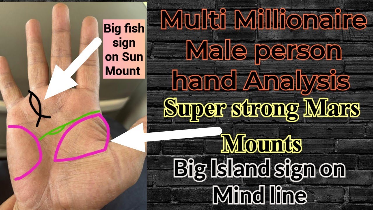 49 years Male person Hand Analysis| Multi Millionaire hand Analysis # ...