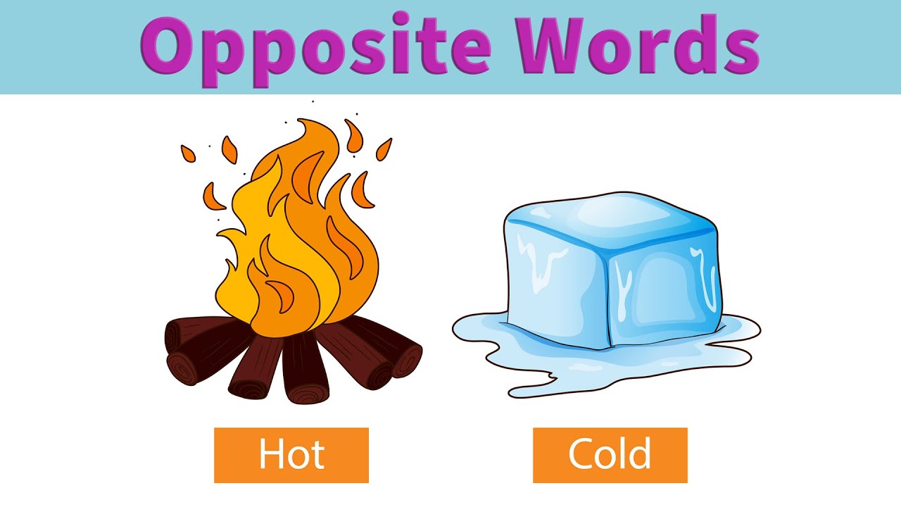 Explosive Vocabulary: Mastering Opposite Words in English - YouTube
