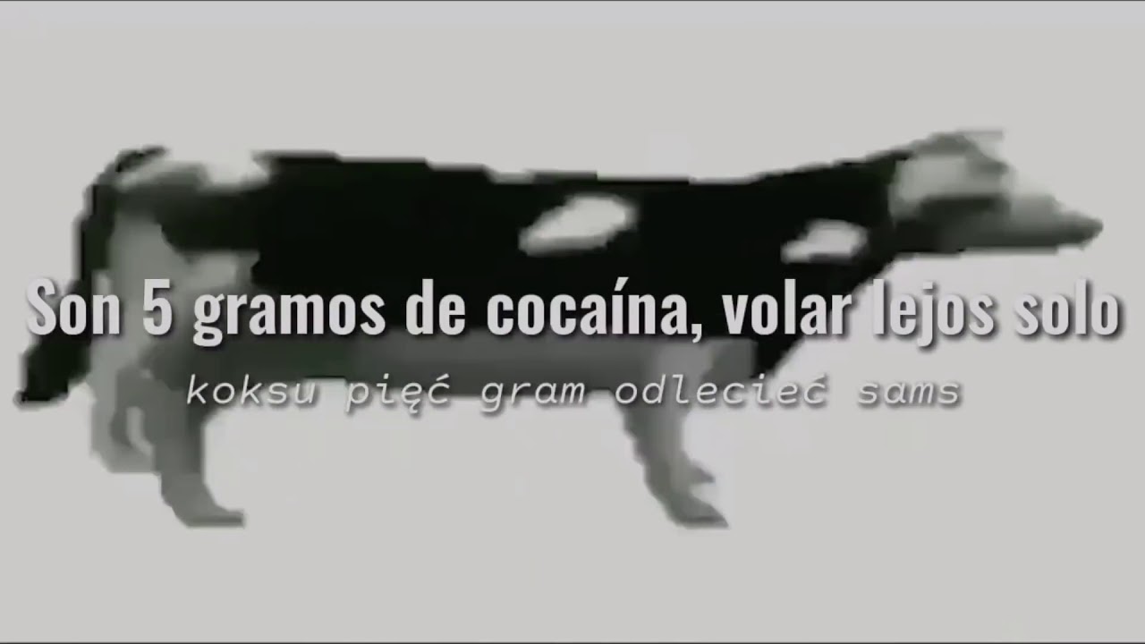 Vaca Polaca subtitulada - YouTube