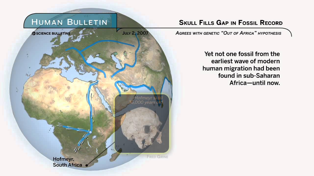 Science Bulletins: Skull fills Gap in Fossil Record - YouTube