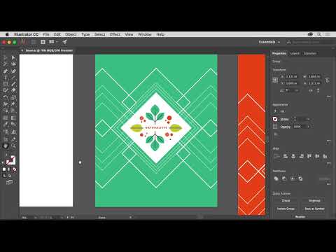 Illustrator Basics and Fundamentals | Adobe Illustrator CC tutorials ...