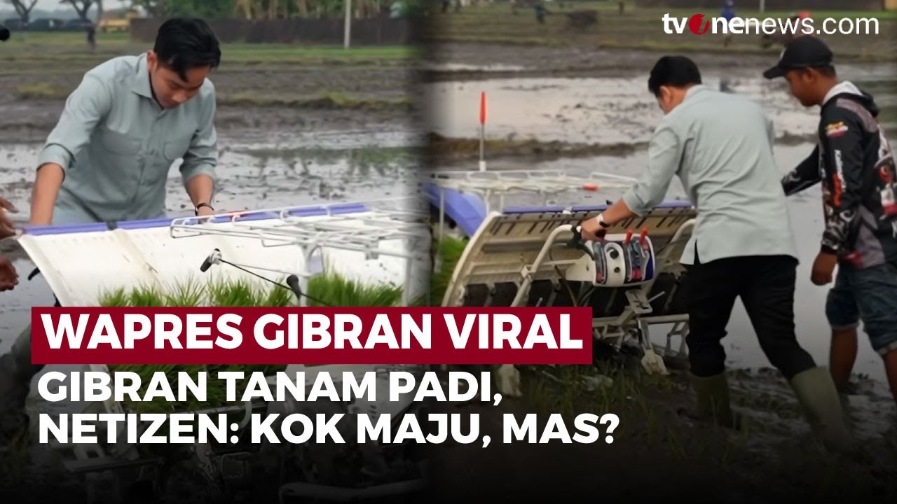 Wapres Gibran Tanam Padi Sambil Maju, Netizen: Itu Bukan Nanem, Itu ...