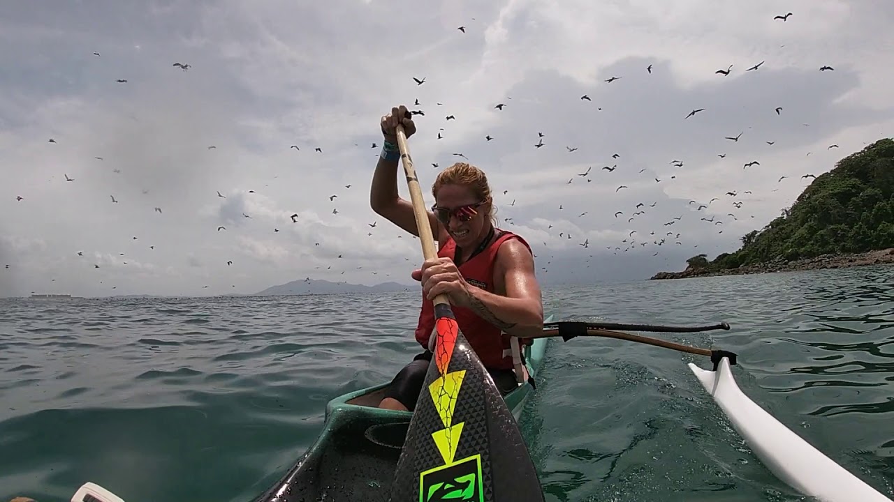 Birds invasion!!! Paddle for your life - YouTube