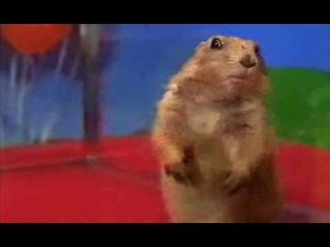 Dramatic Bober Kurwa - YouTube