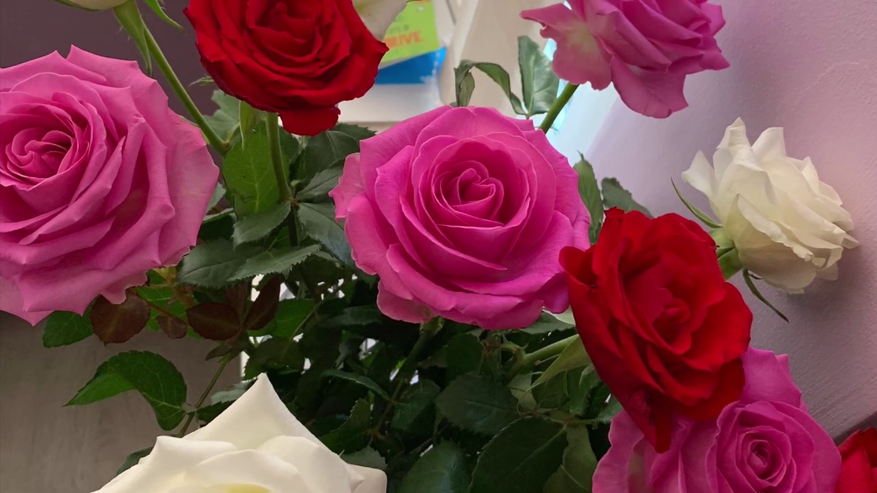 A Goodbye Roses Gifted by Daughter to Mother.. - YouTube