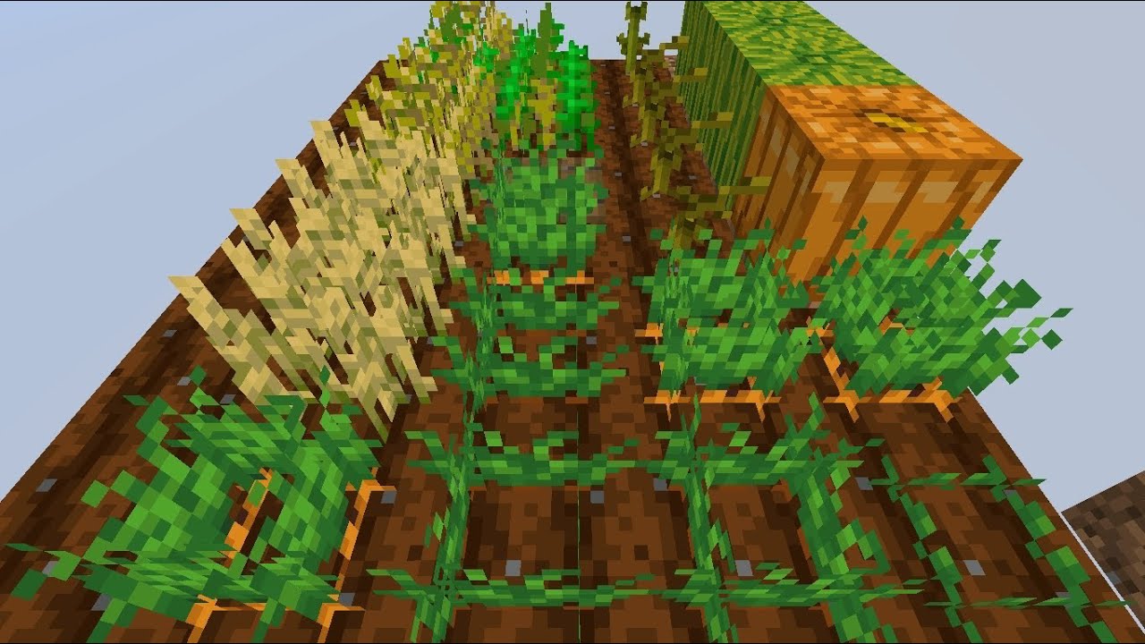 Minecraft: FIZ UMA PLANTAÇÃO! (Parte 1) - One Block #2 - YouTube