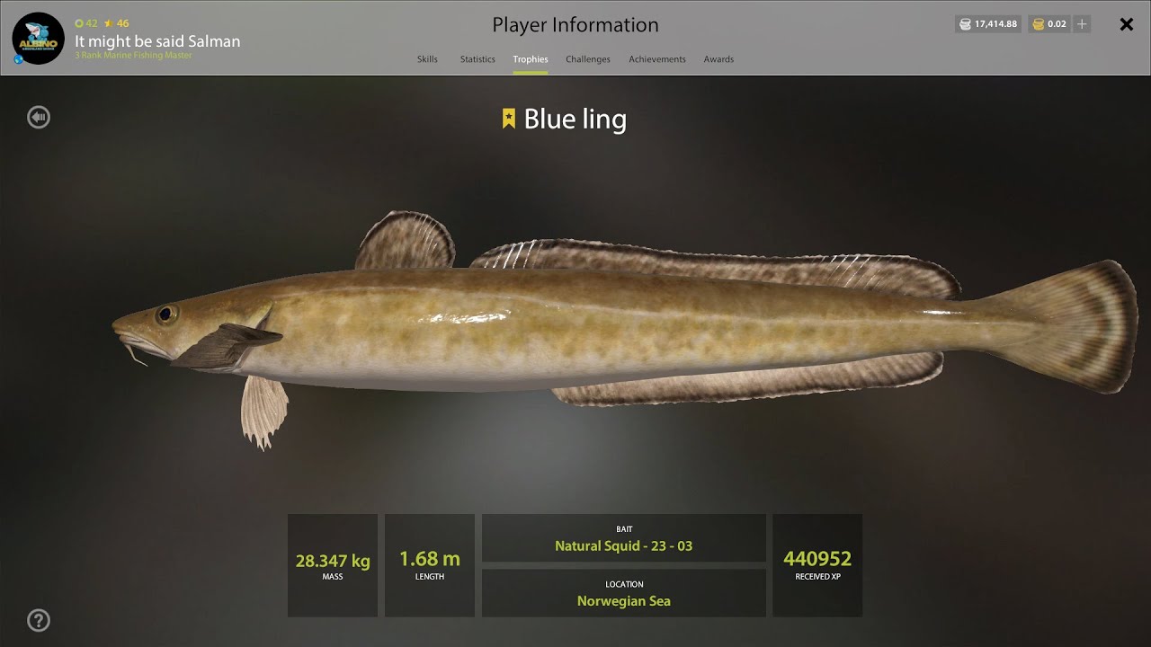 Russian fishing 4~ Rf4-Trophy Blue Ling and Trophy Saithe + Setup - YouTube