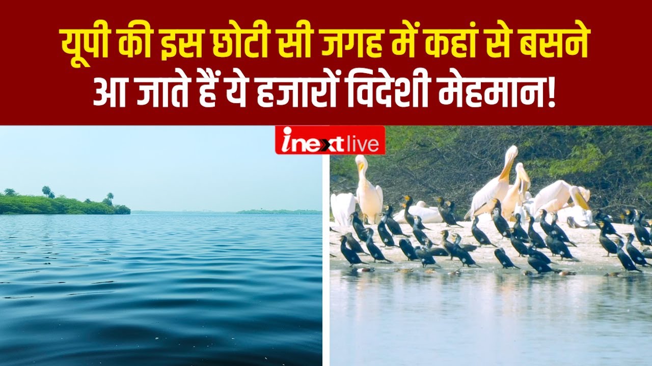 Keetham lake in Agra is so famous for its beauty and its beautiful ...