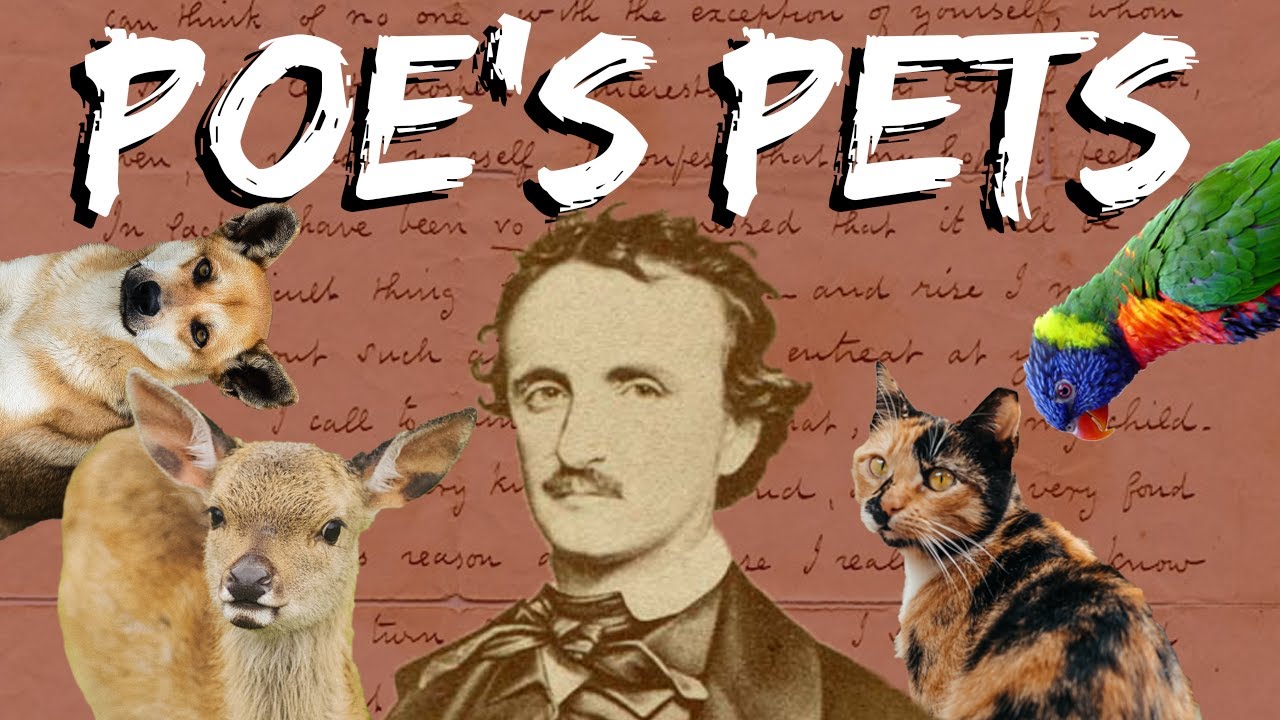 Curator's Crypt - Episode 71: Poe's Pets - YouTube