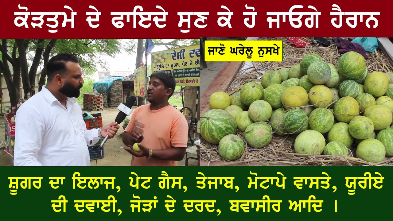 ਕੋੜਤੁਮੇ ਦੇ ਫਾਇਦੇ ਸੁਣ ਕੇ ਹੋ ਜਾਓਗੇ ਹੈਰਾਨ | Bitter Apple | Kortuma ...