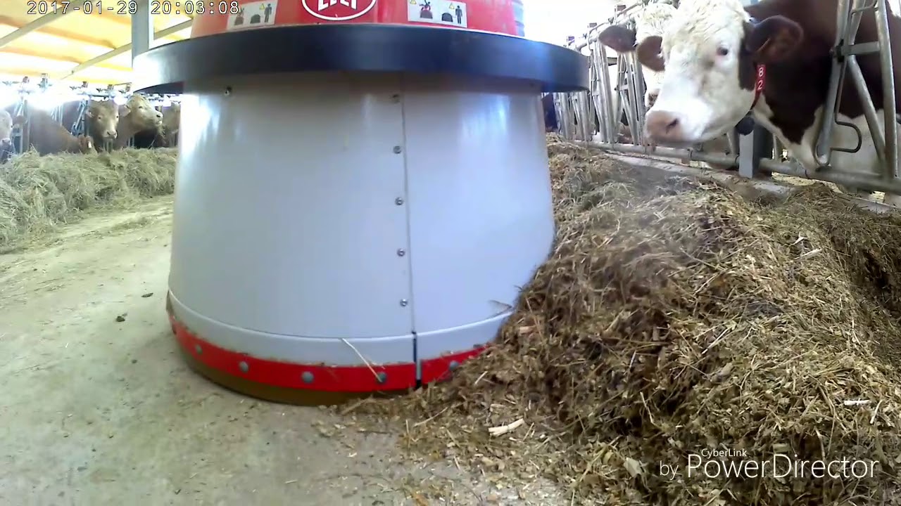Lely ASTRAUNAUT A4. Lely juno lely m4use - YouTube