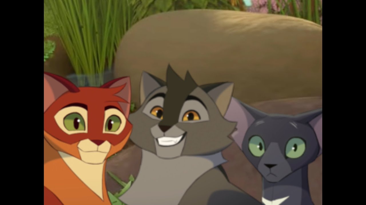 Warrior cats: Sunning Rocks | Parody | Dubbed - YouTube