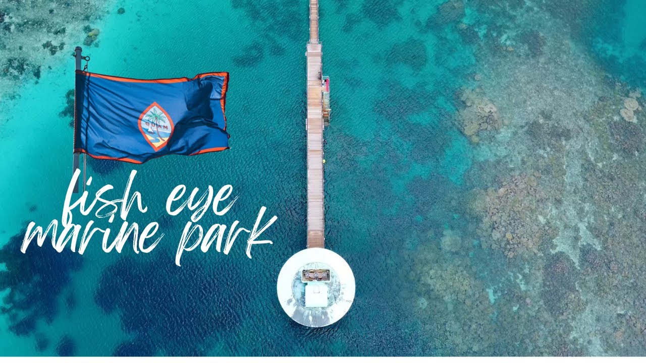 Drone Footage of Fish Eye Marine Park | Piti, Guam - YouTube