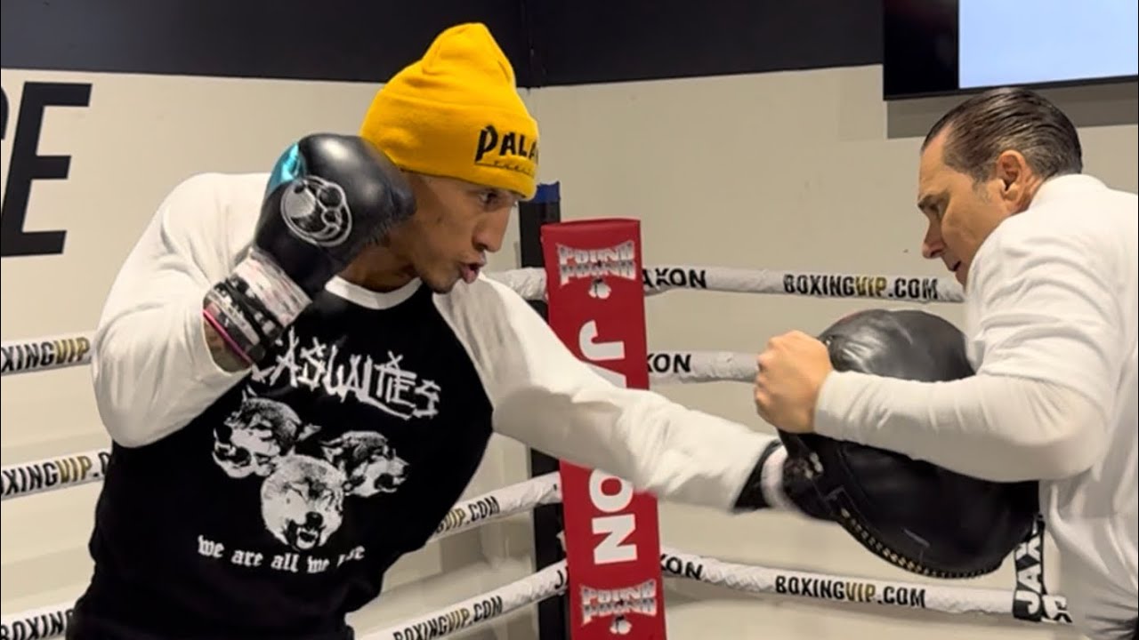 MARIO BARRIOS SHARP PAD WORK FOR JAKE PAUL MIKE TYSON UNDERCARD TITLE ...