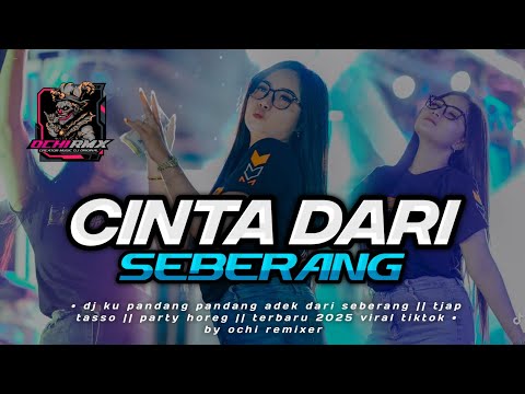 DJ TJAP TASSO || KU PANDANG PANDANG ADIK DARI SEBERANG|| TERBARU 2025 || By ochi remixer 🎵