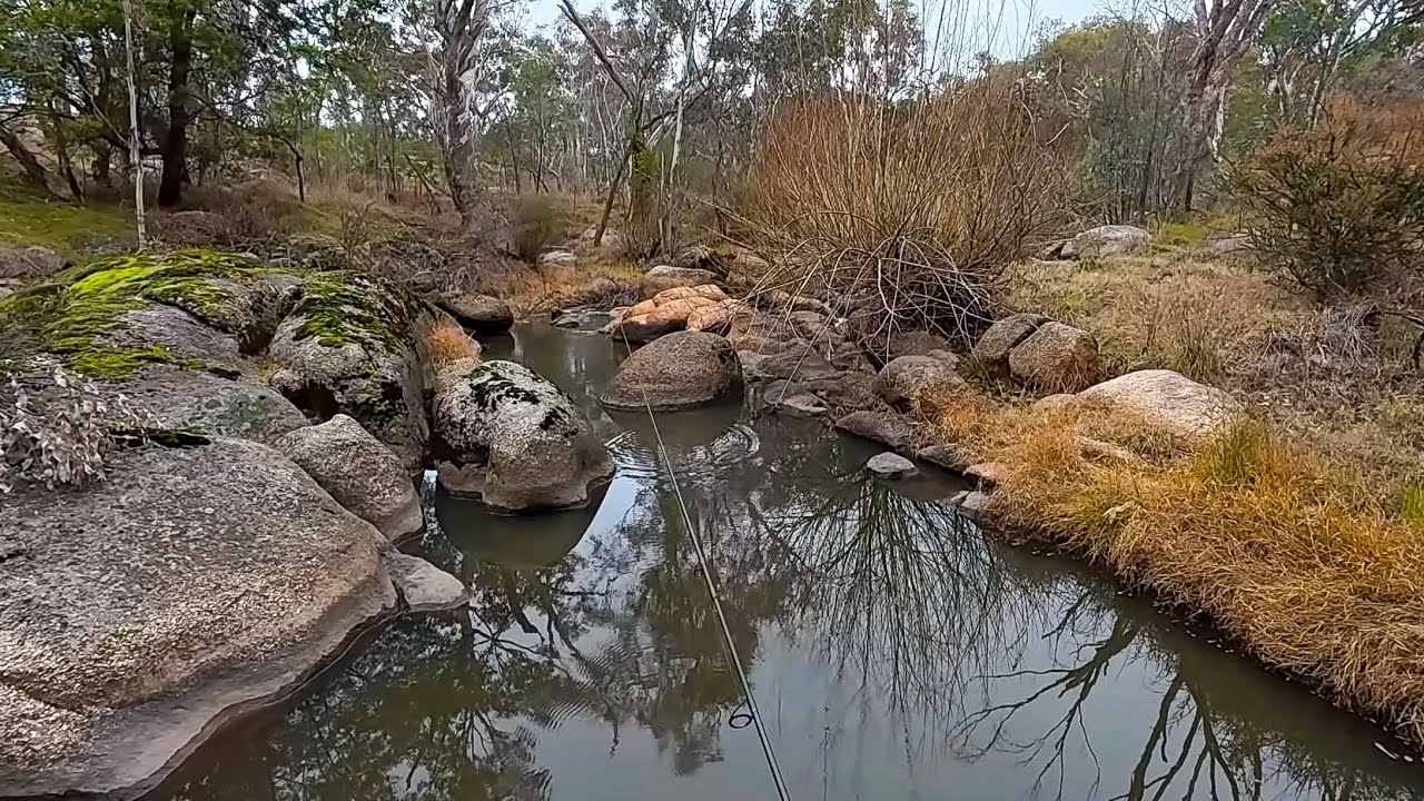 Sick Winter Redfin Perch Fishing - YouTube