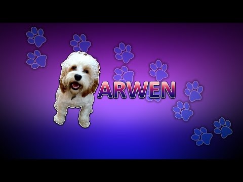A Video Montage of Arwen