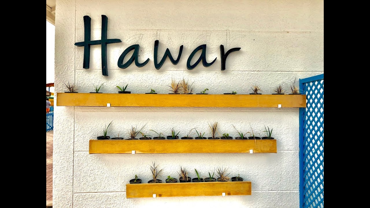 A Day Out at Hawar Island Bahrain - YouTube