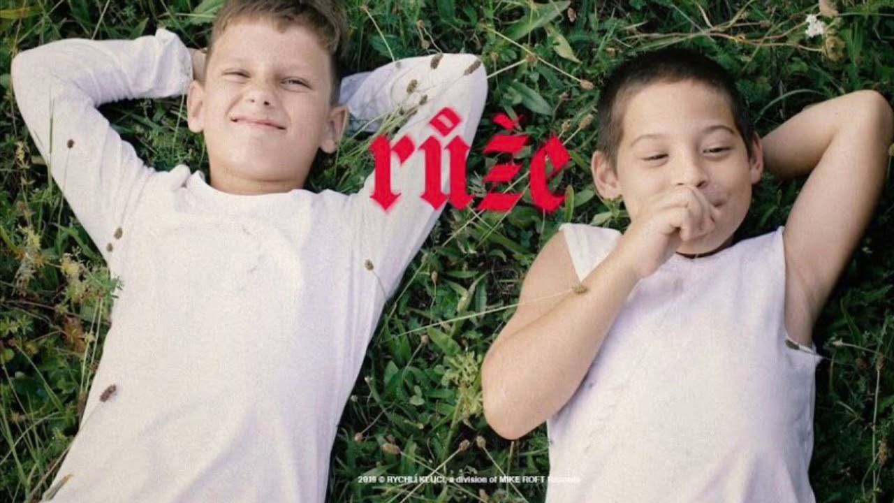 Calin ft. Stein27 - Růže (text) - YouTube