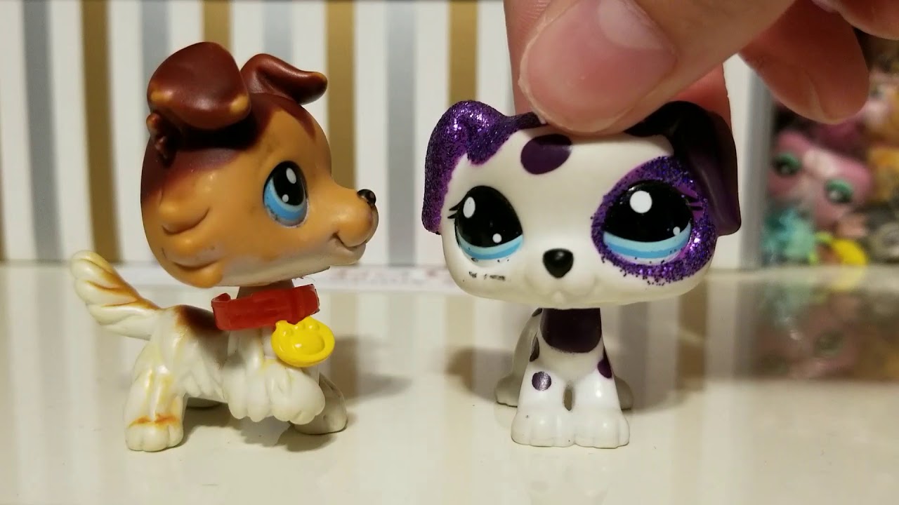 New Lps Series: Pokemon Academia - YouTube