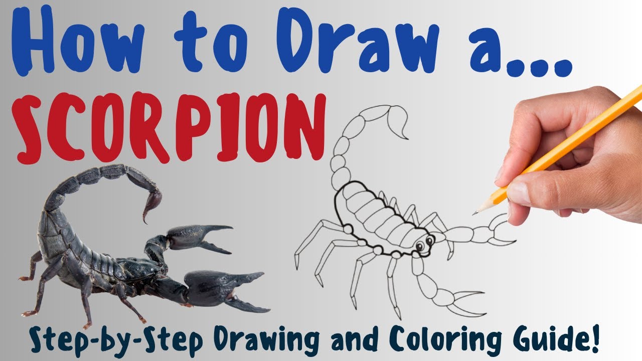 How To Draw A Scorpion - Fun & Easy Step-by-Step Drawing and Coloring ...