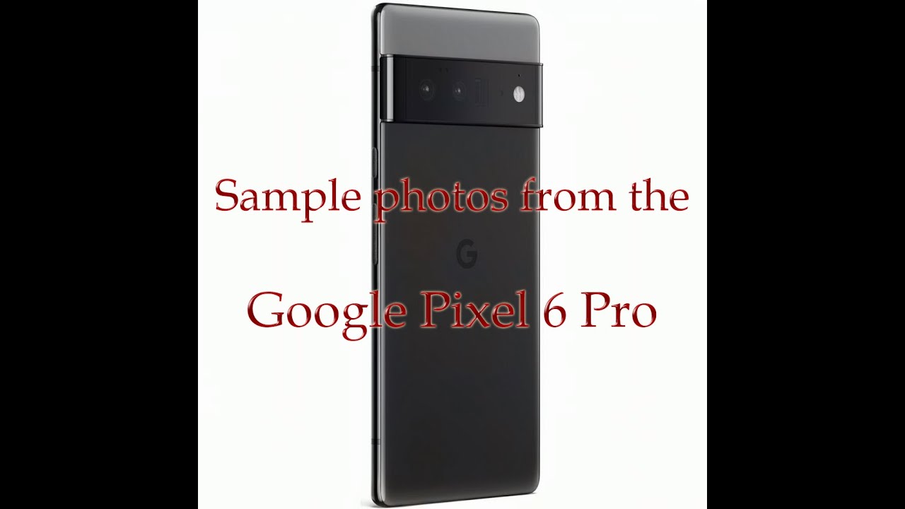 Google Pixel 6 Pro Sample Photos - YouTube
