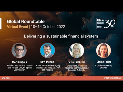 GRT 2022 - Panel: Delivering a sustainable financial system - YouTube