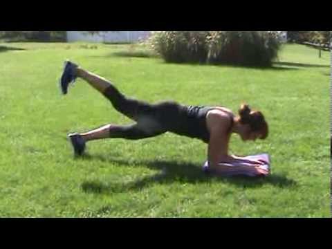 Exercise Demo - Forearm Plank Alternating Leg Lift - YouTube