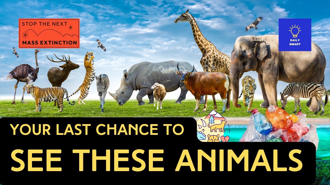 Last Chance to See These Animals! 🦏🌿 - YouTube