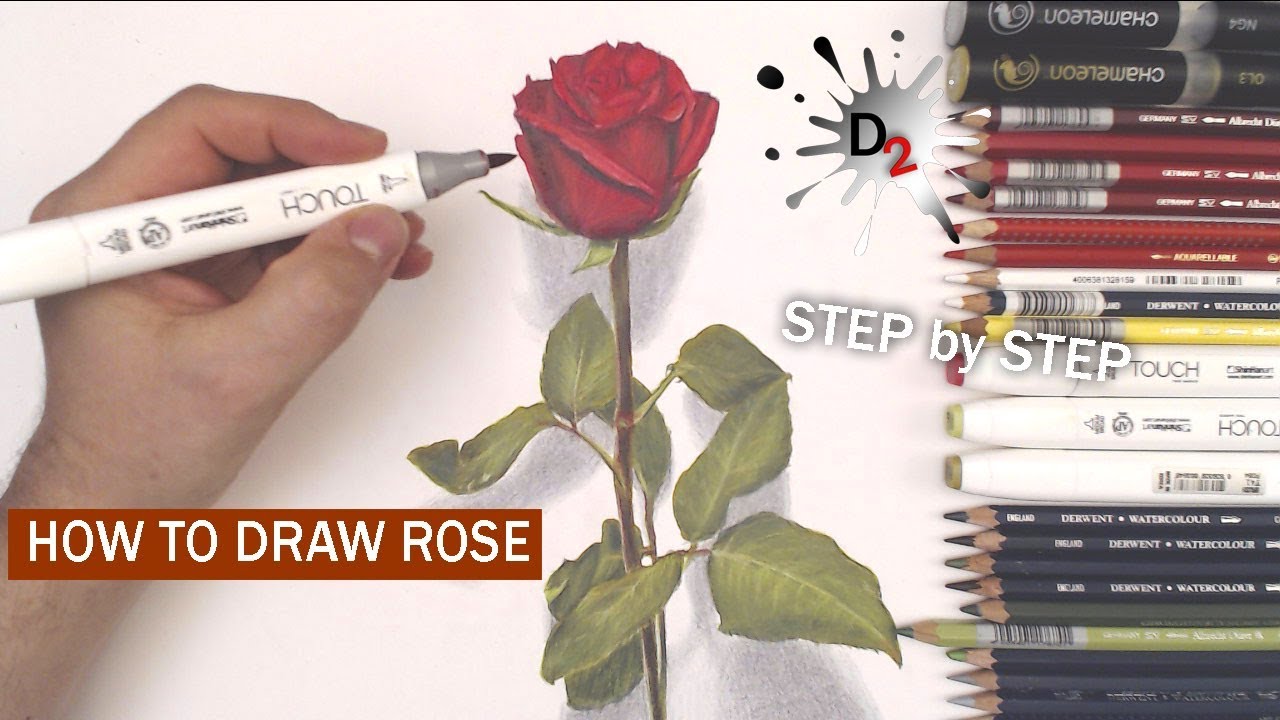 Red Rose Drawing - Colored Pencils Roses | draw2night - YouTube