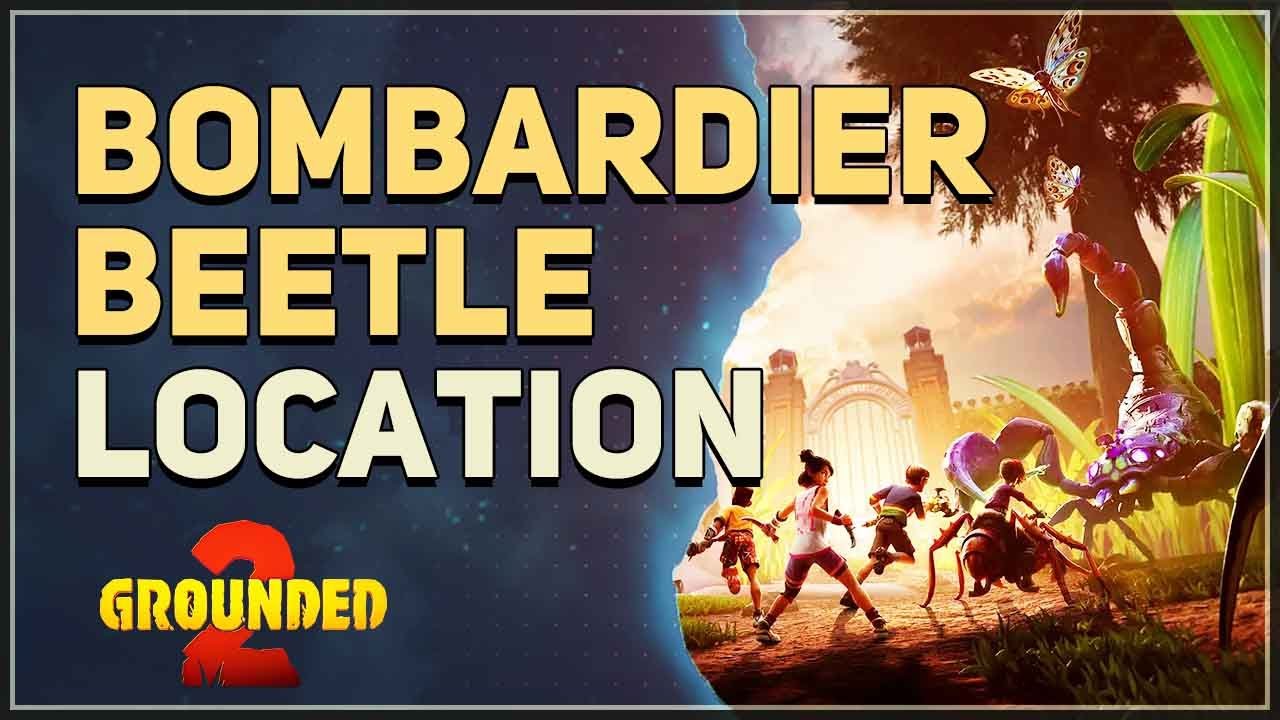 Bombardier Beetle Location Grounded 2 - YouTube