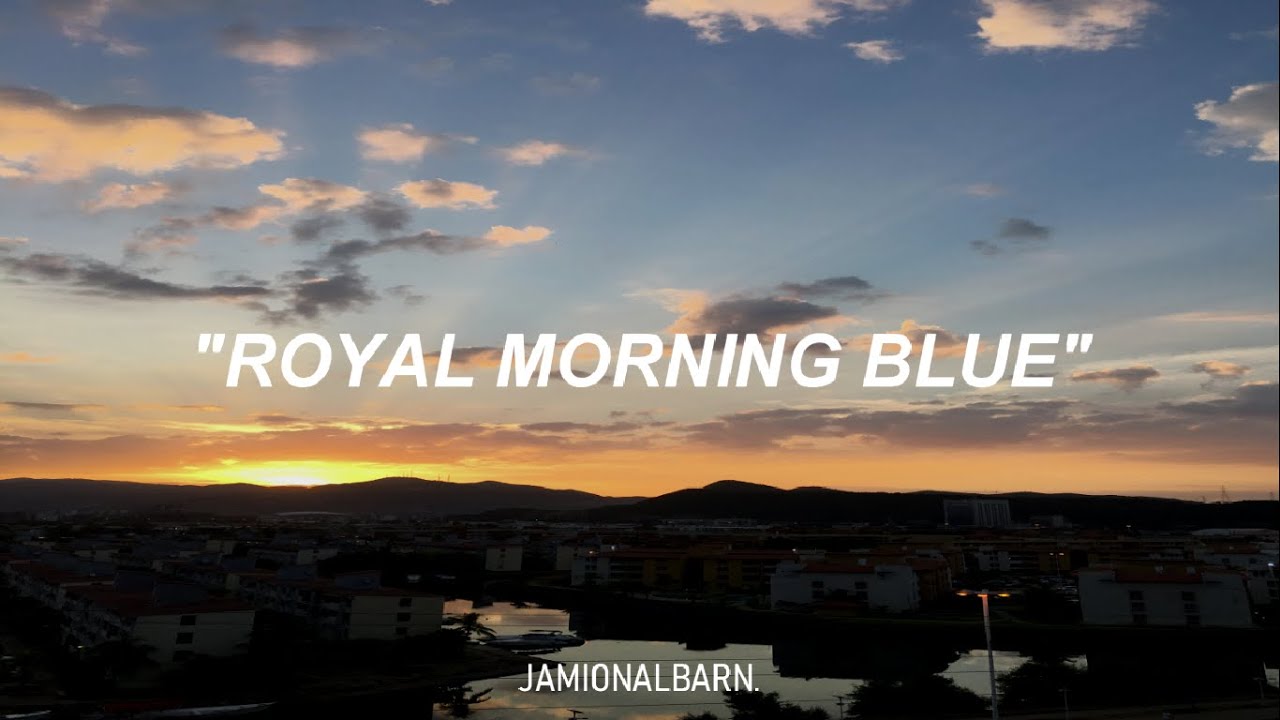 Damon Albarn - Royal Morning Blue (Traducido al Español) - YouTube