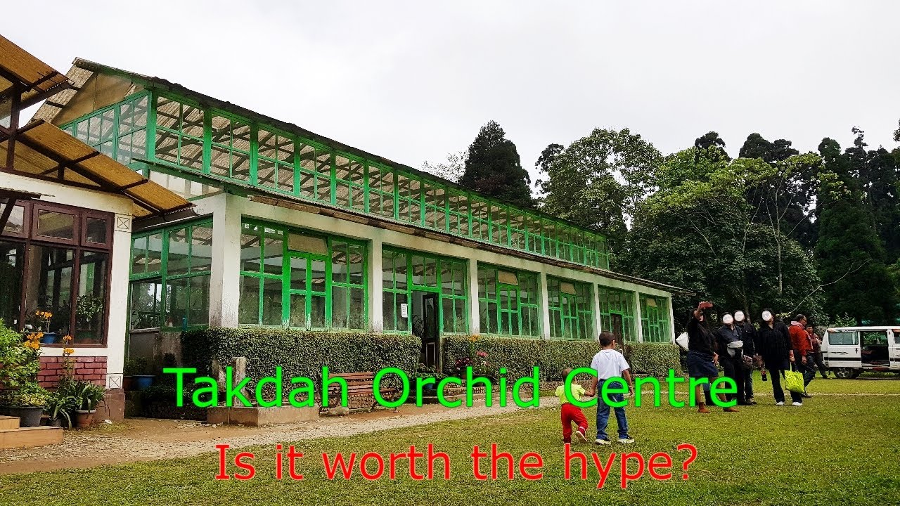 Discover Takdah Orchid Centre: 🌺🌿 Is it worth the hype? 🤔 - YouTube