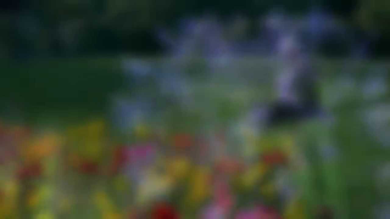 Creative Commons - Nature Project - YouTube