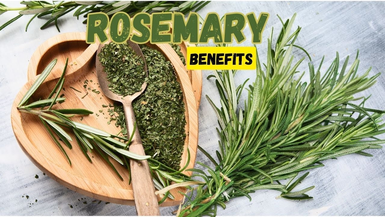 Rosemary A Journey from Origin to Benefits - YouTube