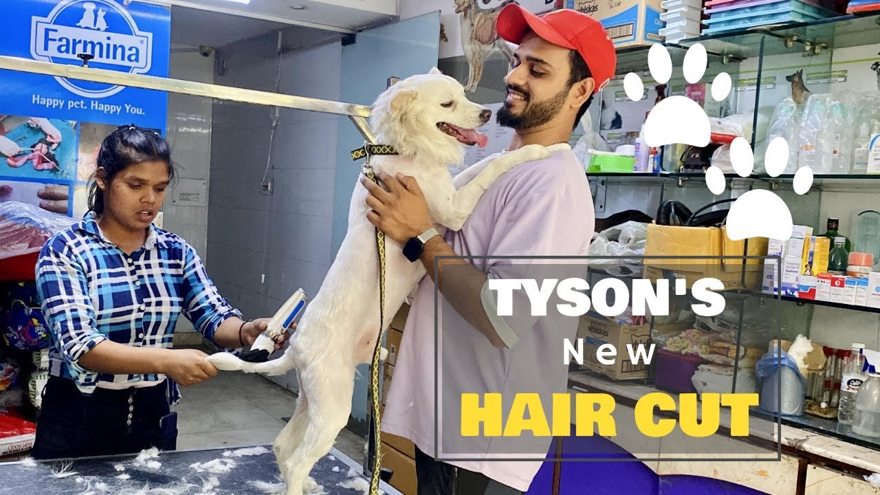 TYSON'S New Hair Cut | Aniket Verma | - YouTube