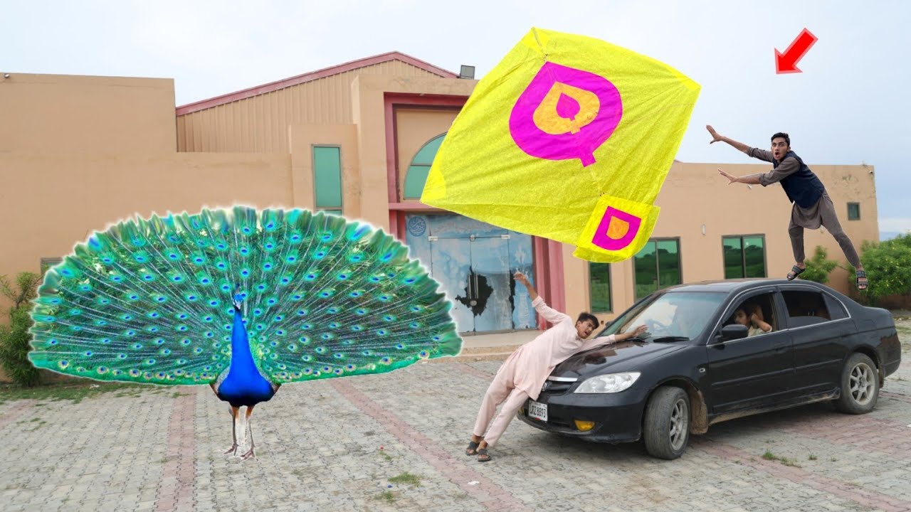 Kite Vs Nasir Mor Catch With Black Car | Gudda - YouTube