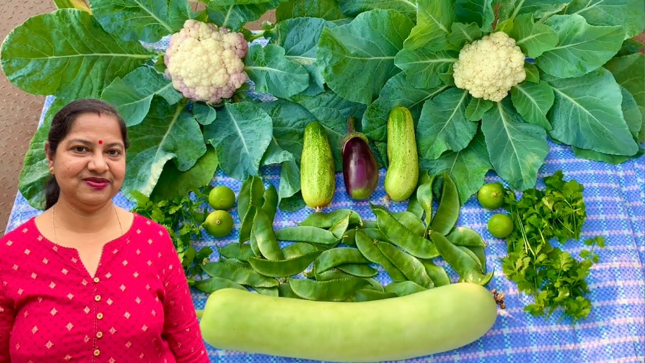 Havesting Organic Fresh Winter Vegetables From My Terrace Garden ...
