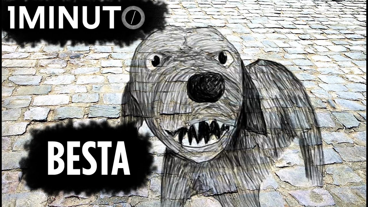 Pra bom entendedor, meia palavra besta - Wayner Tristao - YouTube