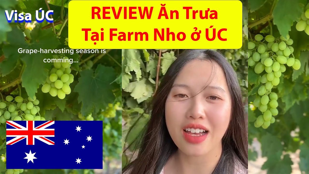 REVIEW Ăn Trưa Tại Farm Úc - Australia (Visa Úc 462) - YouTube